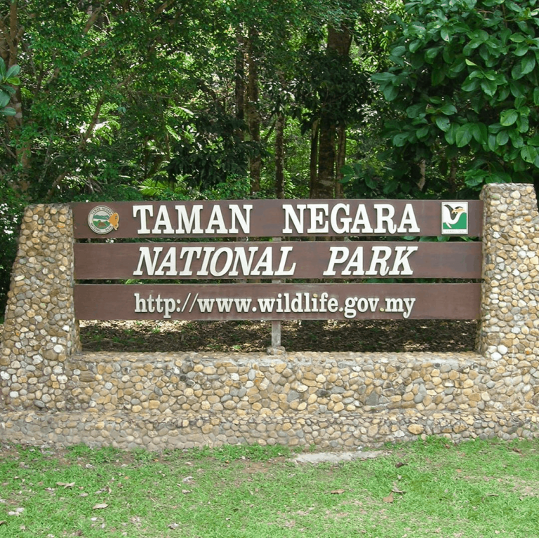 Why you should visit Taman Negara - Tekoma Resort, Pahang | Official Site